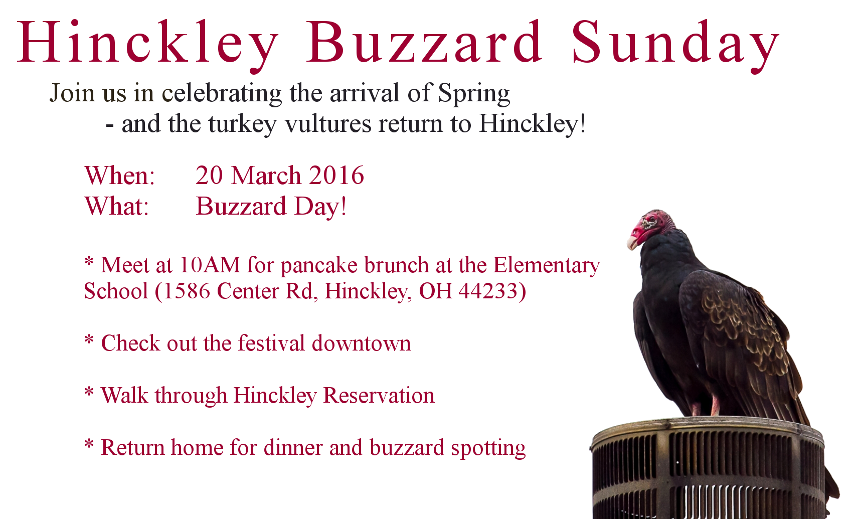 Buzzard Day – Lisa's Home Page